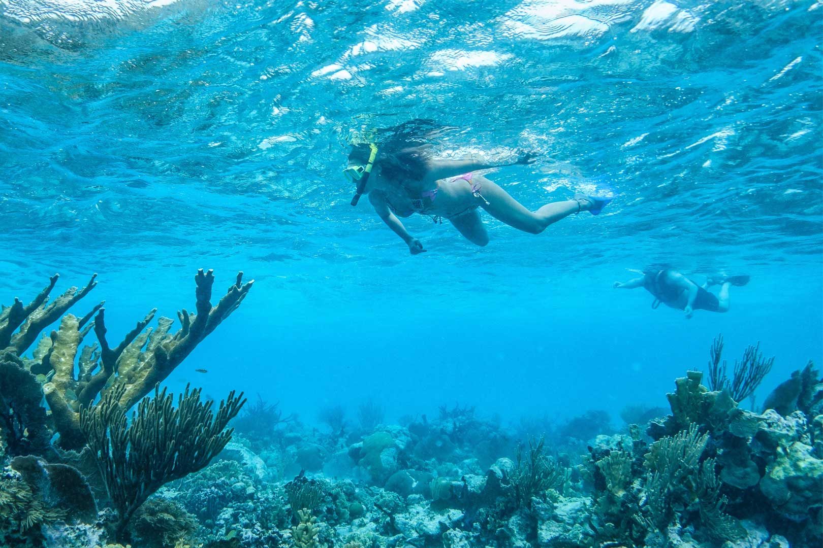 Adventure - The Lodge at Jaguar Reef